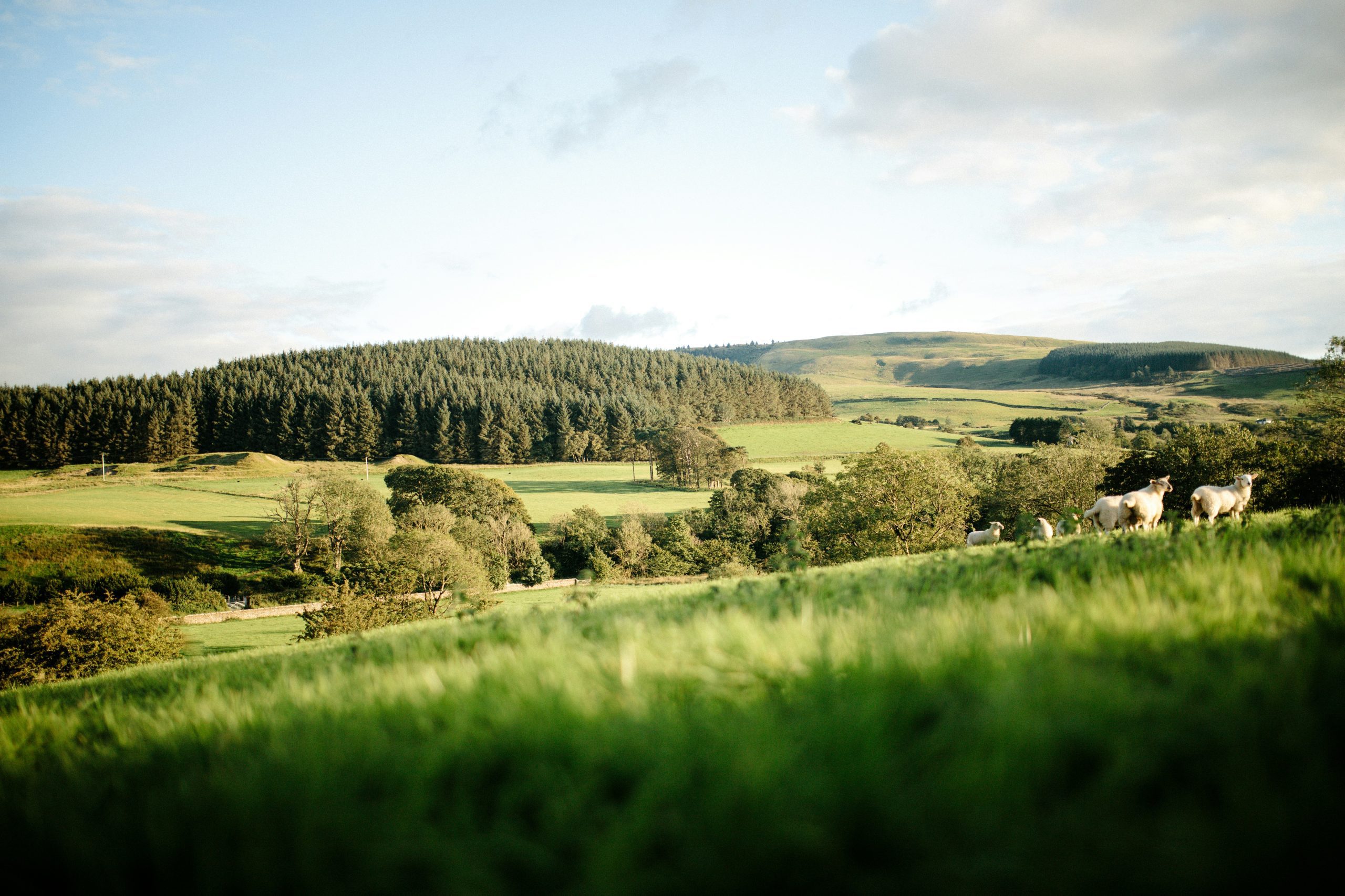 5 Stunning Weekend Hikes Near London: Explore Nature Just a Train Ride ...